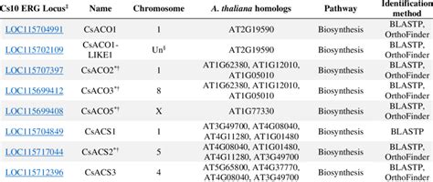 Cannabis Sativa Ethylene Related Genes Csergs Identified Through