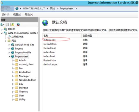 Windows Iis Asp Net