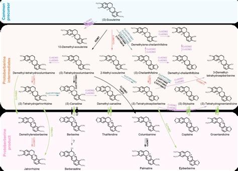 Fig [image] Eurekalert Science News Releases