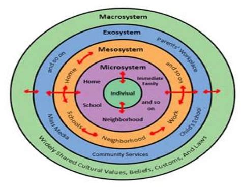 368 Midterm Diagram Quizlet