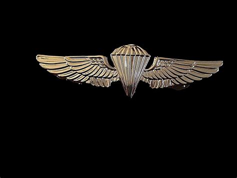 Us Military Navy Marine Corps Gold Parachutist Paratrooper Jump Win