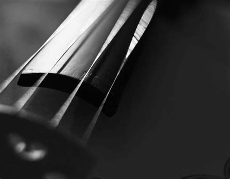 How Many Strings Does A Fiddle Have Explained By A Music Expert Ted