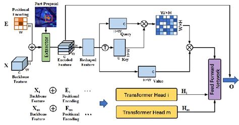 Figure From Part Guided Relational Transformers For Fine Grained Visual Recognition Semantic