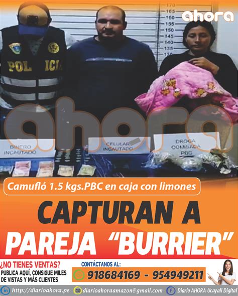 Capturan A Pareja “burrier” Diario Ahora