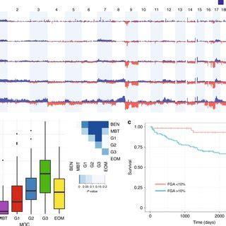 Copy Number Analysis A Comparison Of Copy Number Frequency Across The Download Scientific