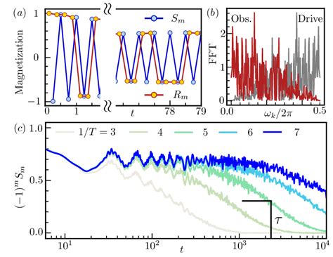 A Distinct Temporal Correlations Emerge For Micro Motions And