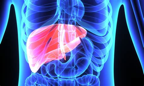 Hepatitis Tipos Causas Y Cómo Prevenirla Acudir Emergencias Médicas