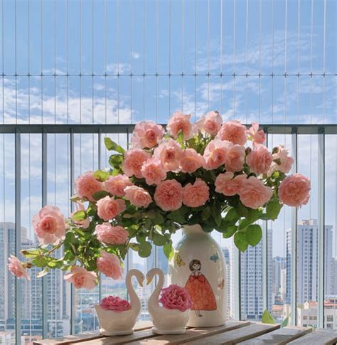 50 Cách Cắm Hoa Hồng đẹp Vào Lọ để Tạo Không Gian Lãng Mạn Và Trang Nhã