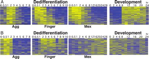 Dedifferentiation Specific Gene Expression Data Were Collected As In