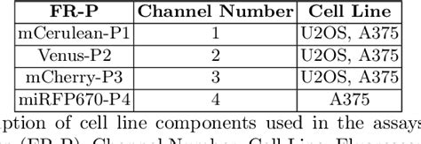 Table 1 From Cell Segmentation In Images Without Structural Fluorescent Reporters Semantic Scholar