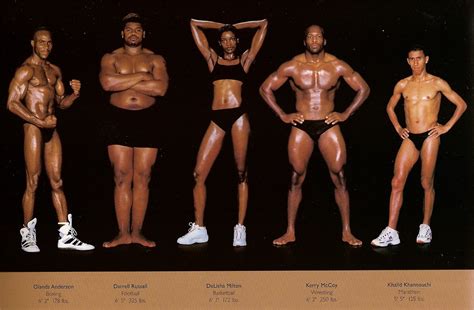 Comparing Vastly Different Body Types Of Olympic Athletes Design You