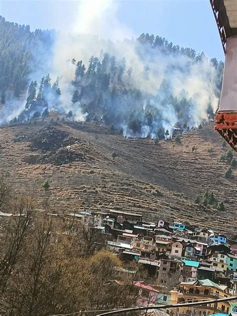 खरपतवार जलाने के दौरान फैली आग से झुलसे सेब के सैकड़ों पेड़ पौधे
