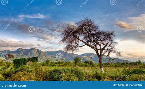Ethiopian Landscape Near Arba Minch Ethiopia Stock Photo Image Of