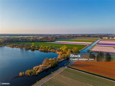 석양이 질 무렵 잔잔한 호수 옆의 형형색색의 튤립 밭을 공중에서 볼 수 있으며 맑고 푸른 하늘 아래 물가를 따라 늘어선 꽃과 나무가 활기차게 늘어선 운하가 있습니다 건축물에