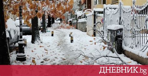 В 105 населени места все още няма ток, жители излязоха на протест | Дневник