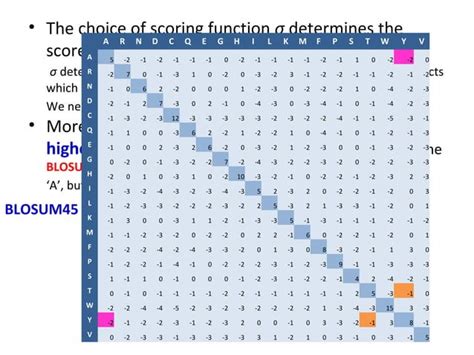 Alignment Scoring Functions Ppt