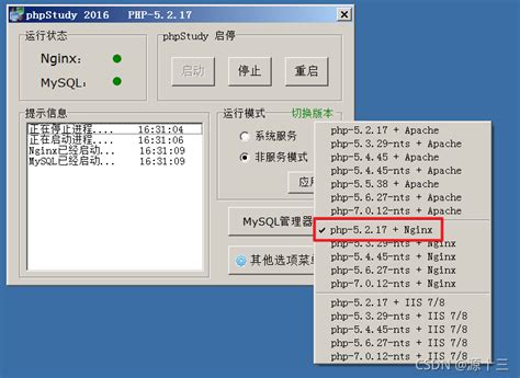Apache，iis，nginx 解析漏洞iis75与nginx低版本解析 Csdn博客
