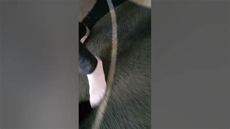 Took His Akels Youtube