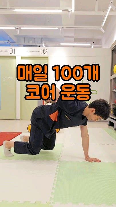 💡매일 100개 코어 운동코어운동 코어강화 운동초보 코어운동추천 어깨강화 허리통증운동 네발기기자세 홈트 홈