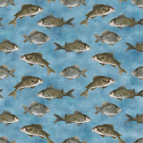 Seamless Bass Fishing Pattern Stock Illustrations 384 Seamless Bass