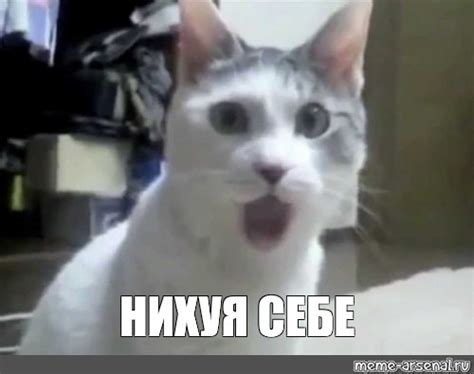 Мем НИХУЯ СЕБЕ Все шаблоны Meme arsenal