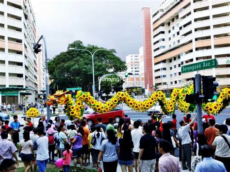 Chingay Heartlands 2015 Ivan Teh Runningman