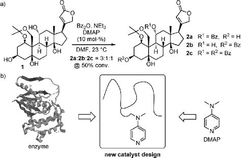 A Insufficient Selectivity In The Dmap Catalyzedbenzoylation Of