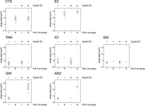 Cyclin D1 Overexpression Induces Rna Polymerase Ii Recruitment On The
