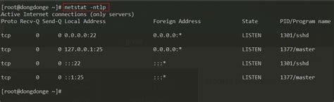 centos 6 x apm aapache php mysql 설치하기
