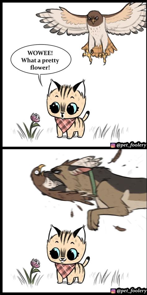 Brutus And Pixie Blank Template Imgflip