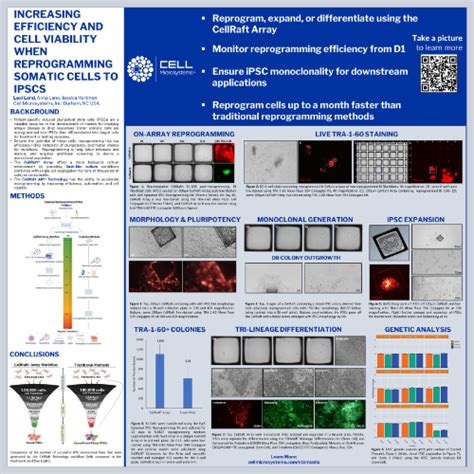 Increasing Efficiency And Cell Viability When Reprogramming Somatic