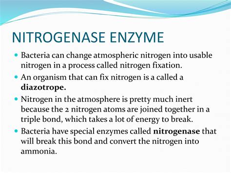 Structure Of Nitrogenase Enzyme Group 8 Ppt Pptx