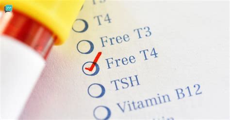 What Are Thyroid Function Tests Halza