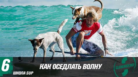 Как кататься на волнах пошаговая инструкция Youtube