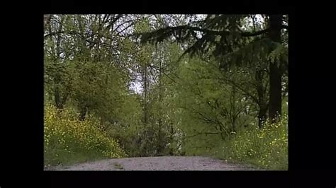 Valentine Demy Porn Videos 2025 Porn Star Sex Scenes Xhamster