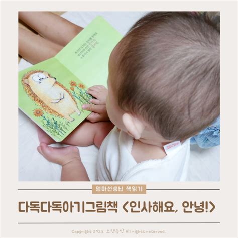 6개월 아기 사회성 발달에 좋은 다독다독아기그림책 인사해요 안녕 네이버 블로그