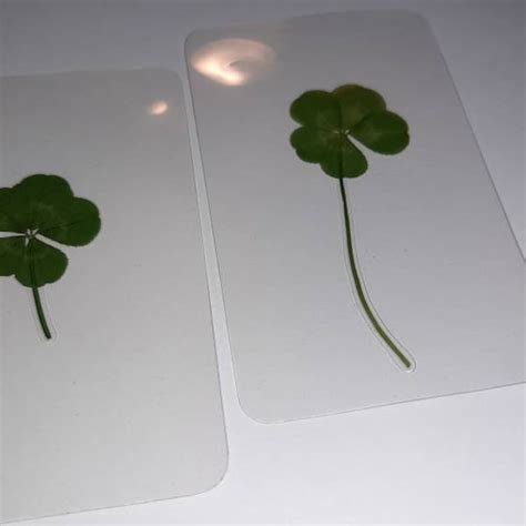 Futurama 7 Leaf Clover Etsy