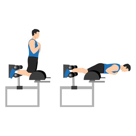 Man Doing Glute Ham Raise Exercise Glute Ham Developer Back Extension 26177941 Vector Art At