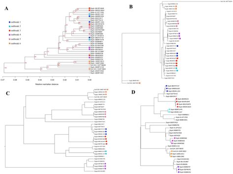 A Pan Genome Tree B K Mer Tree C Nucleotide Difference Tree And