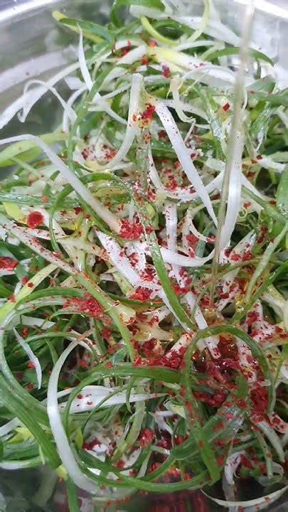 삼겹살에는 역시 파절이가 최고죠 Shorts Youtube