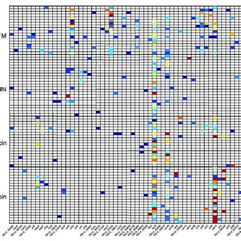 Variant Frequencies For Multiple Use Genes Frequency Of Variants For