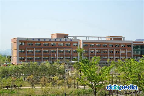 두피디아 포토커뮤니티