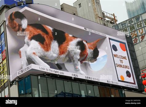 Digital Billboard Of Realistic Giant 3d Cat Amazes Onlookers In Tokyo