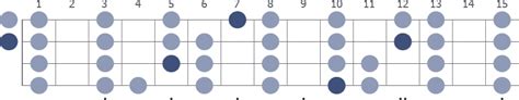 D Locrian Bass Guitar Scale
