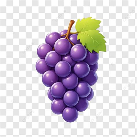 보라색 포도 한 다발 보라 포도 압축 Png 일러스트 및 Psd 이미지 무료 다운로드 Pngtree