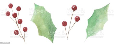 흰색 배경에 고립 된 붉은 로완과 녹색 잎의 수채화 잔가지 세트 크리스마스 그린 0명에 대한 스톡 벡터 아트 및 기타 이미지