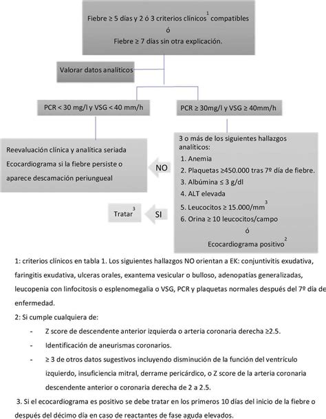 Manejo De La Enfermedad De Kawasaki Consenso Nacional Sepeap