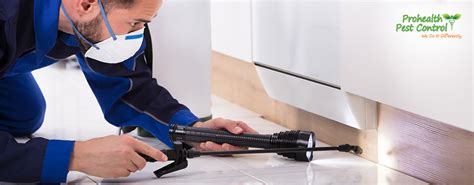 Benefits Of Organic Pest Control Solutions Prohealth Pest Control