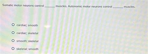 Solved Somatic Motor Neurons Control Muscles Autonomic Motor Neurons