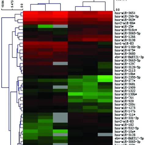 heat map and hierarchical clustering heat map shows the results of